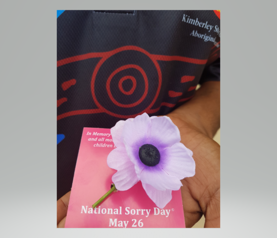 National Sorry Day on May 26th is almost here please order the ...